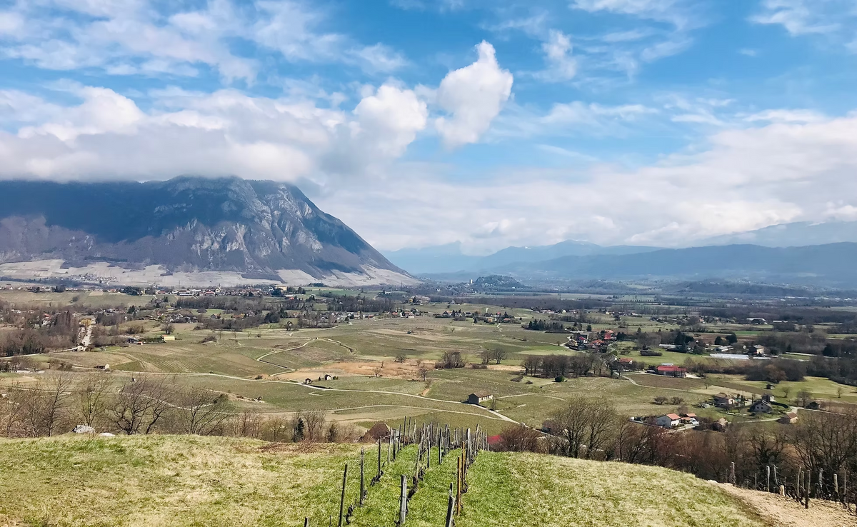 Domaine Labbé - 'l'Essential' - Mondeuse - Savoie, FR - 2021 – Satellite SB